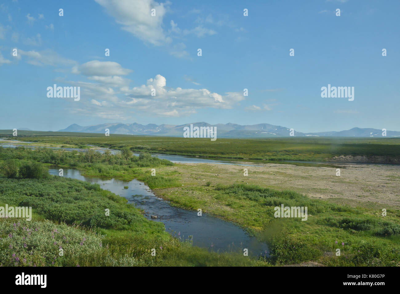 Tundra in the Polar Urals and the Main Ural Range. Summer northern ...
