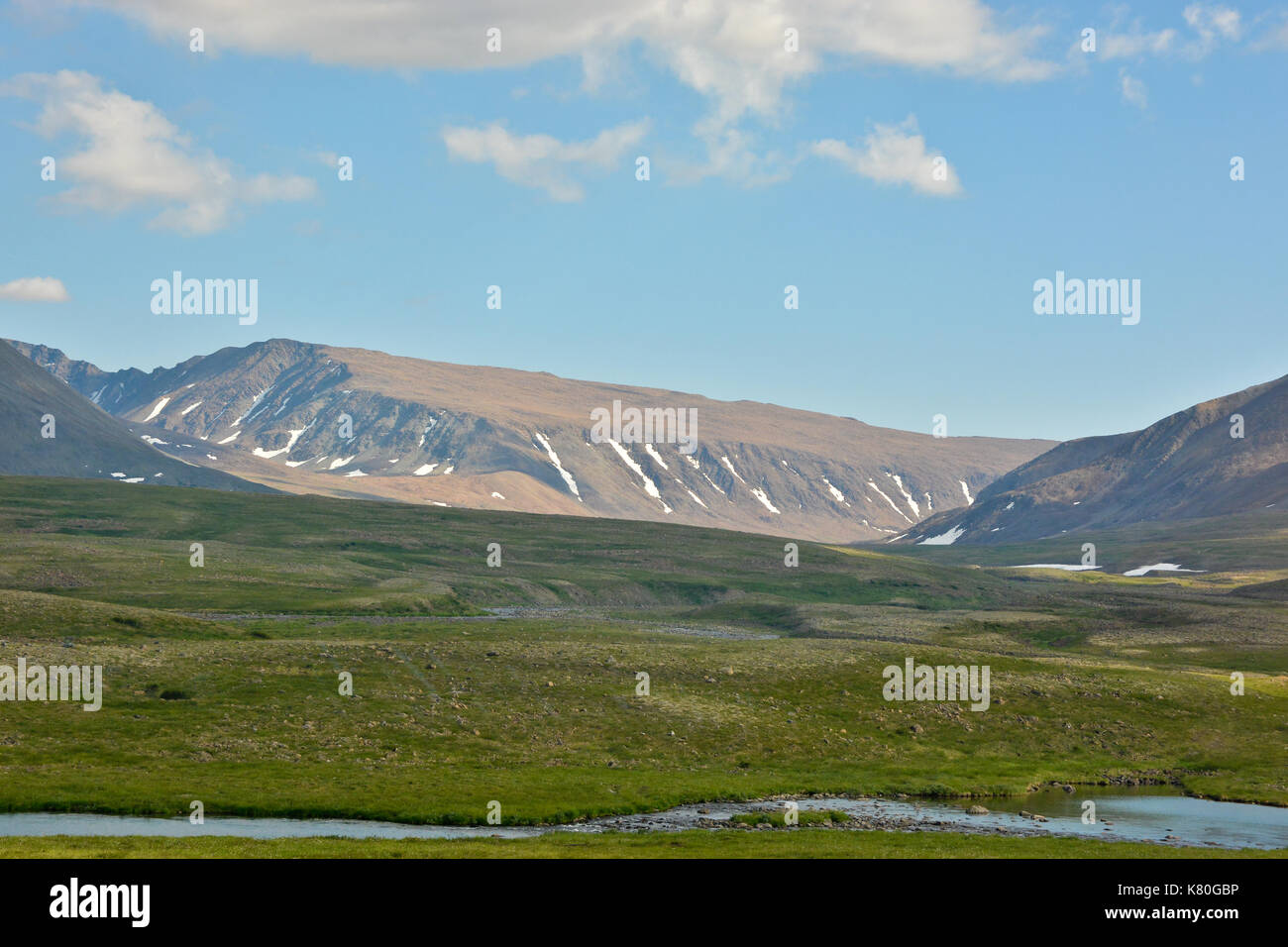 Ural arctic hi-res stock photography and images - Alamy