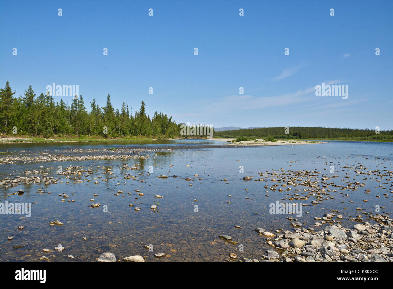 The River of the Polar Urals. Summer water landscape in the north of ...