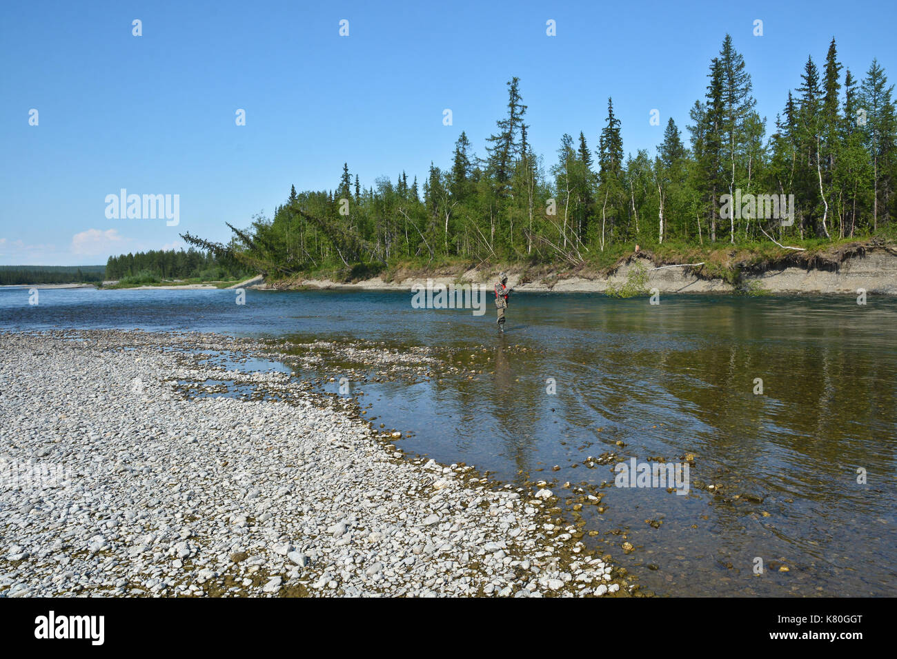 The River of the Polar Urals. Summer water landscape in the north of ...