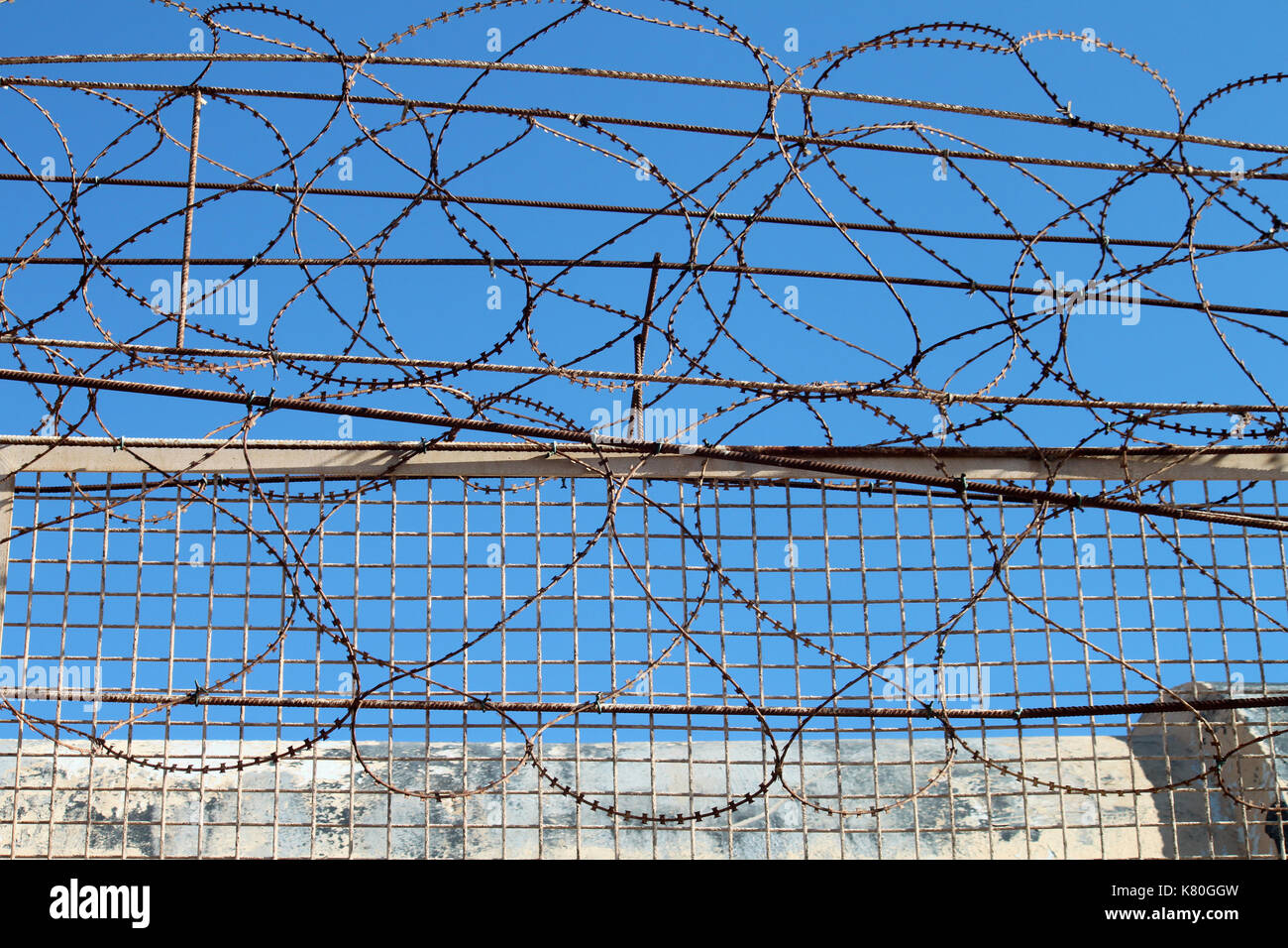 Razor wire on fence Stock Photo - Alamy