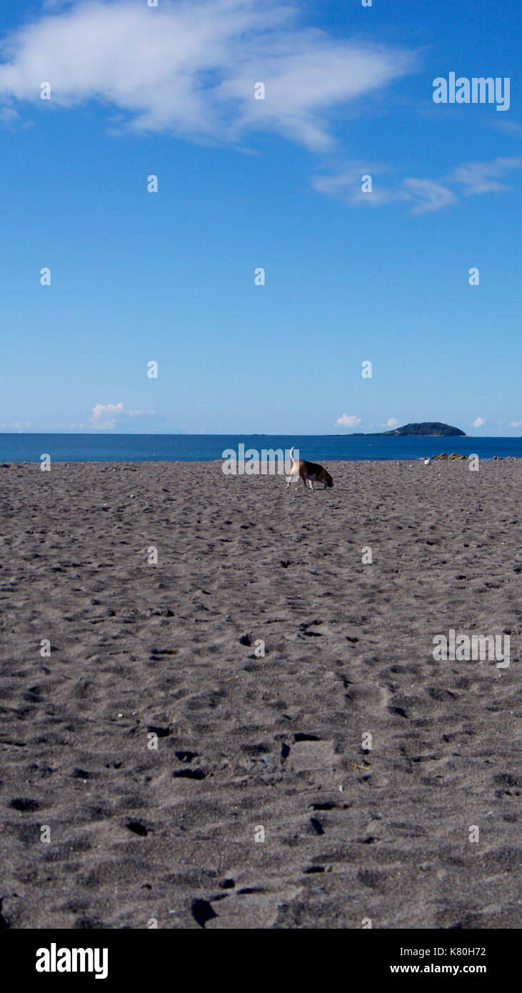 Open empty natural beach hi-res stock photography and images - Alamy