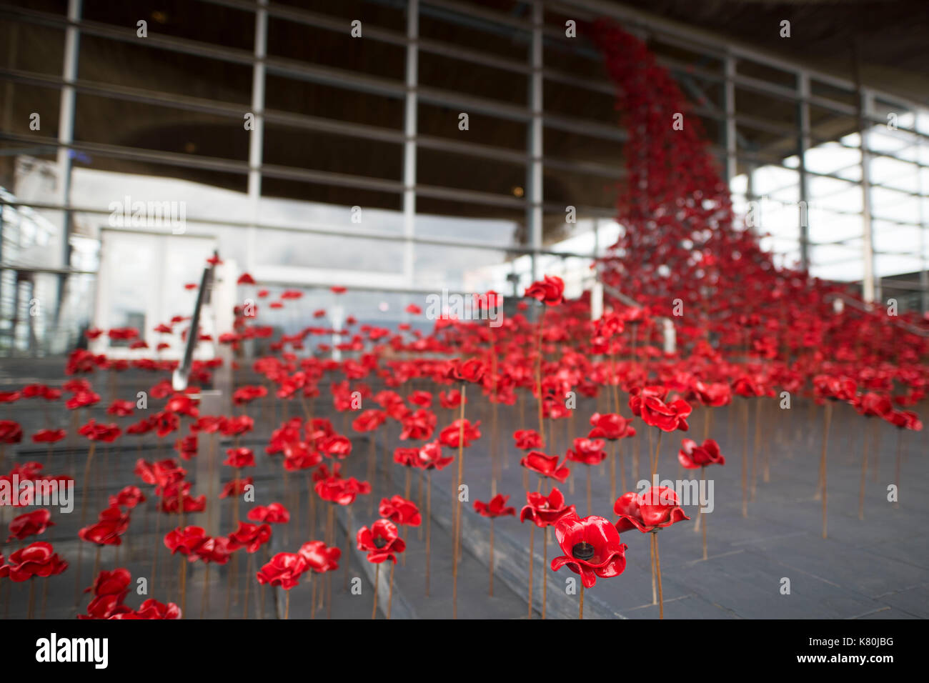 The Weeping Window installation at the Senedd Stock Photo - Alamy