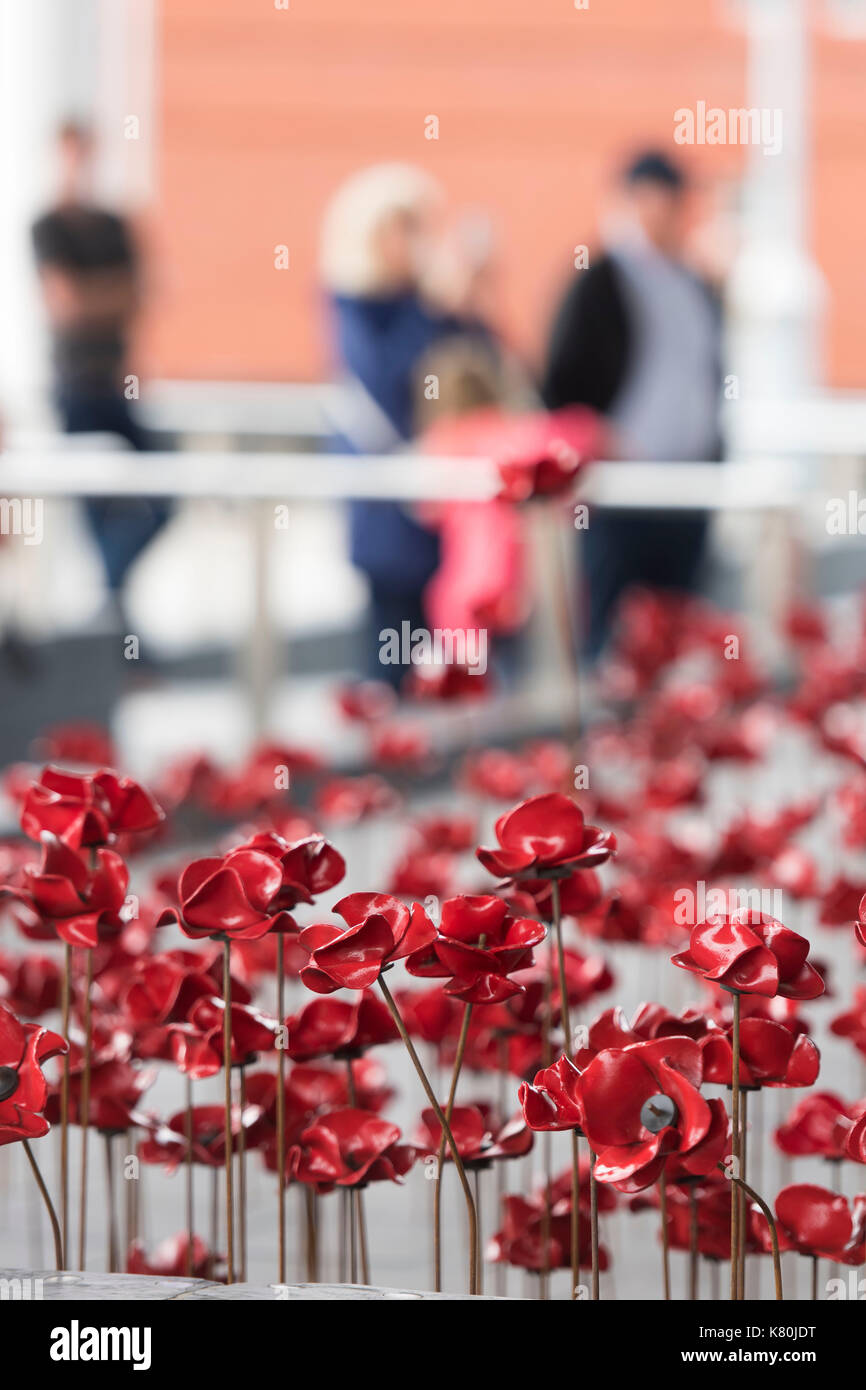 The Weeping Window installation at the Senedd Stock Photo - Alamy