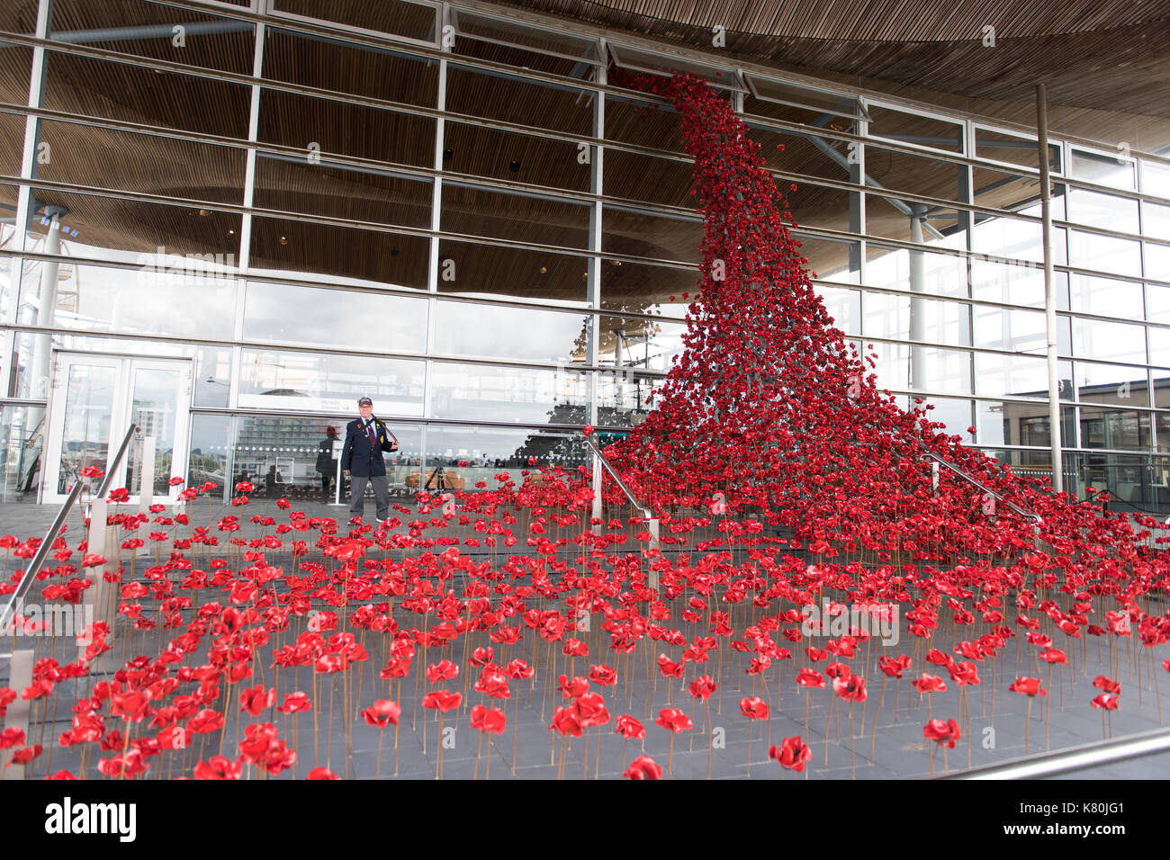 The Weeping Window installation at the Senedd Stock Photo - Alamy