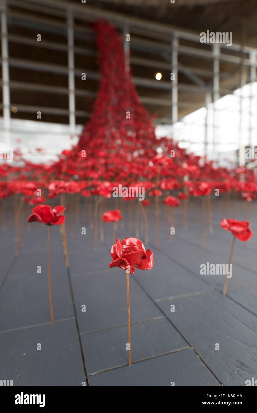 The Weeping Window installation at the Senedd Stock Photo - Alamy