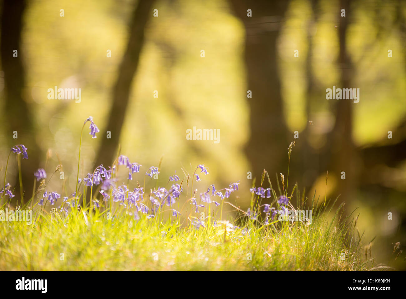 A hot spring day in the Duddon Valley Stock Photo - Alamy
