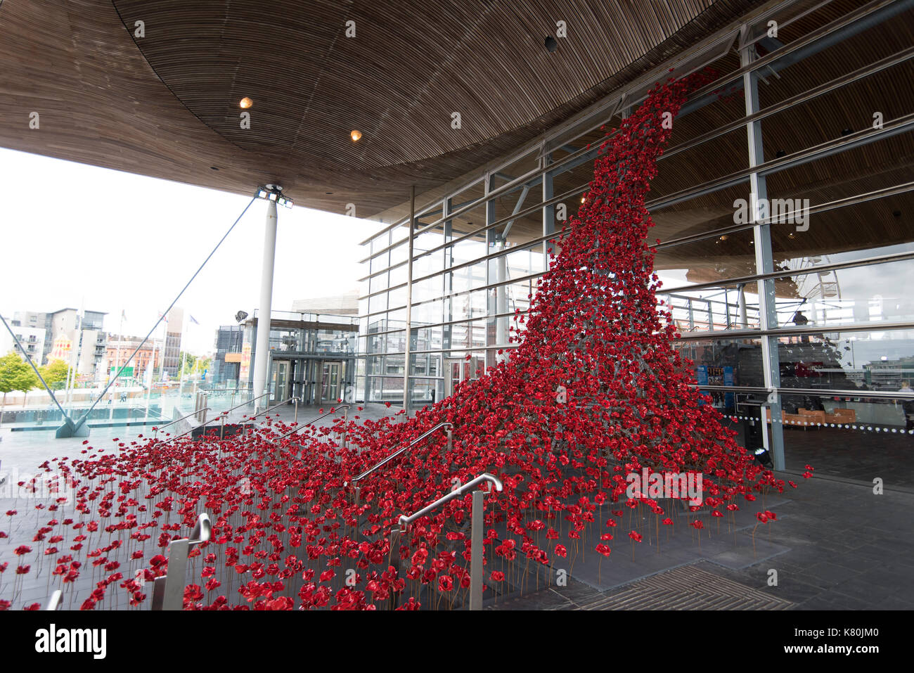 The Weeping Window installation at the Senedd Stock Photo - Alamy