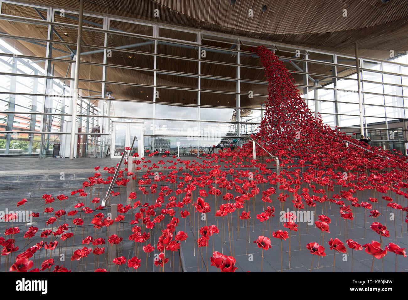 The Weeping Window installation at the Senedd Stock Photo - Alamy