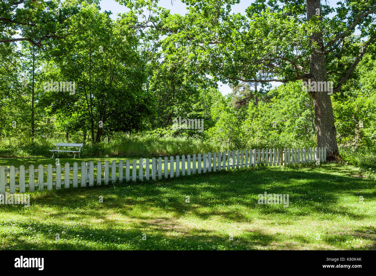 Summer green park. White wooden fence, bench and the chlorophyll Stock ...
