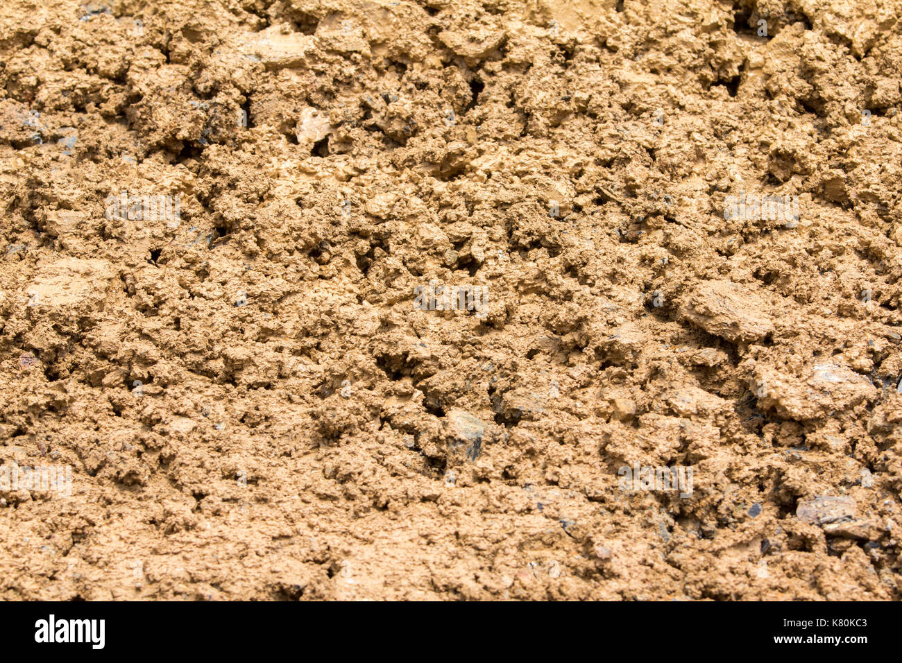 Surface soil is compacted by a car. To build a new road Stock Photo - Alamy
