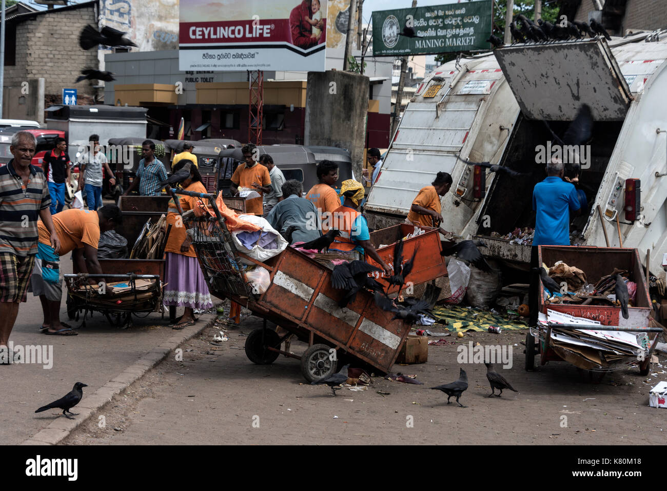 Dust carts hi-res stock photography and images - Alamy
