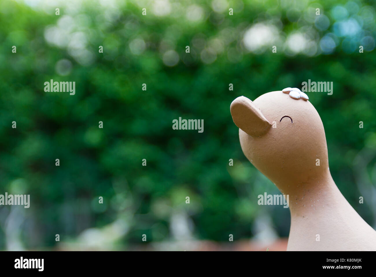 Beautiful face smiling duck hi-res stock photography and images - Alamy