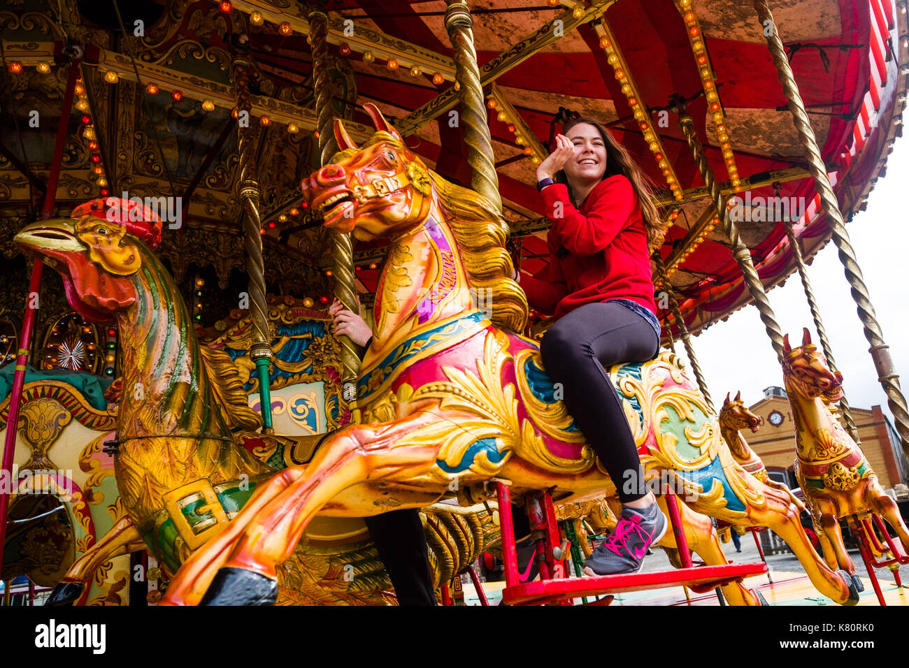 Golden Gallopers High Resolution Stock Photography and Images - Alamy