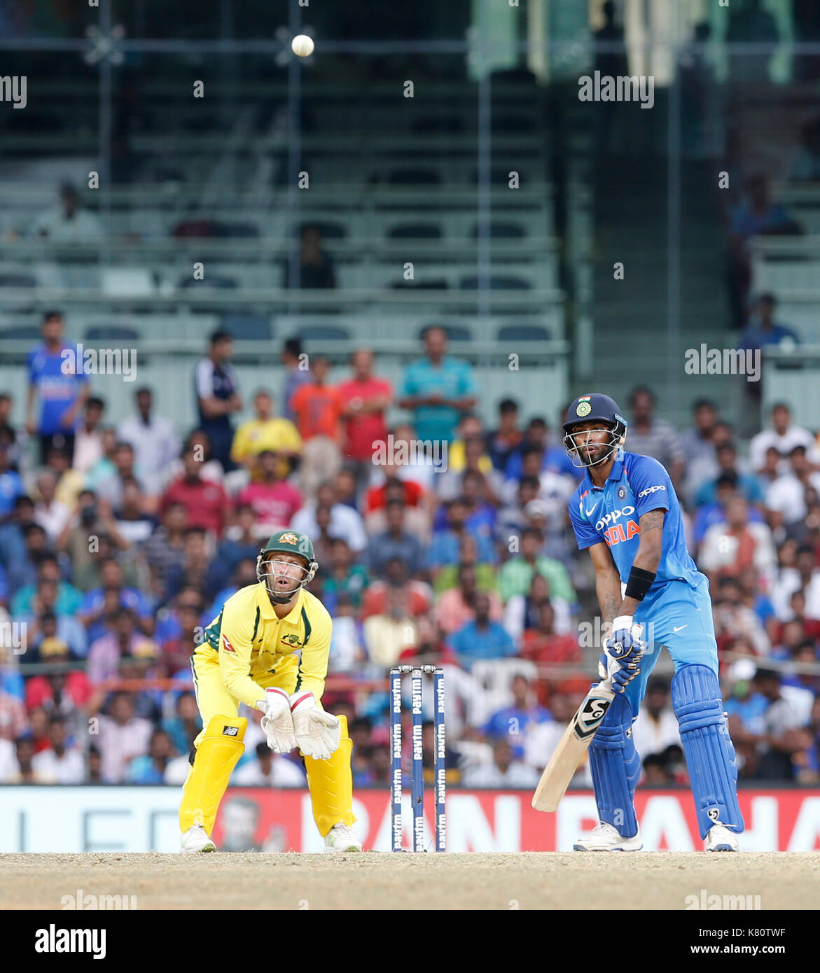 Pandia hi-res stock photography and images - Alamy