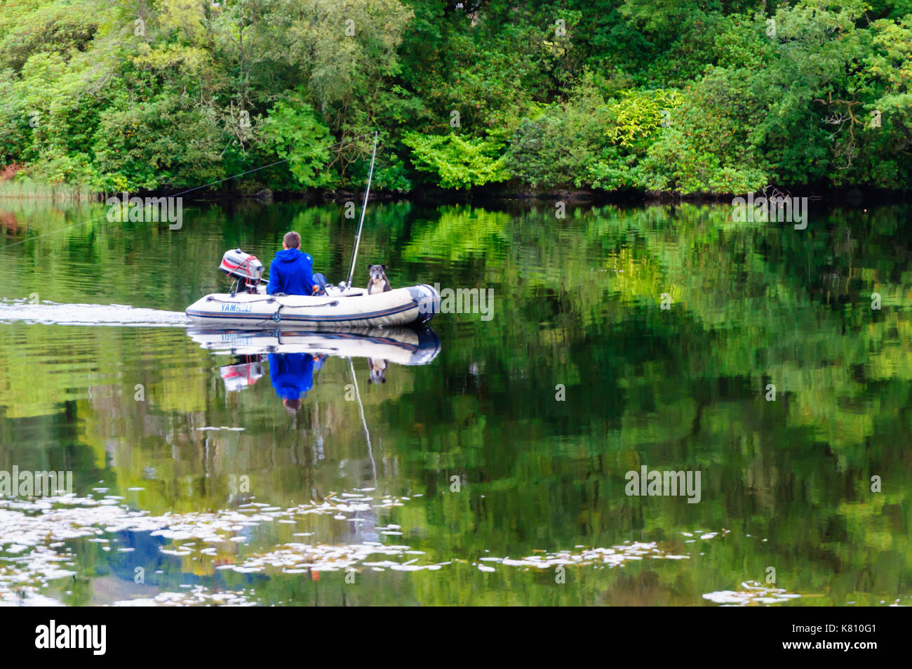 Man dog fly fishing on hi-res stock photography and images - Alamy