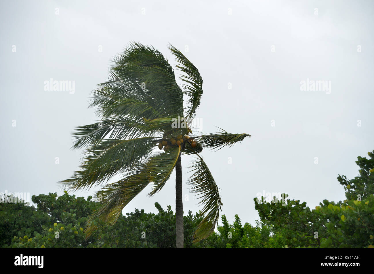 Storm ladder hi-res stock photography and images - Alamy