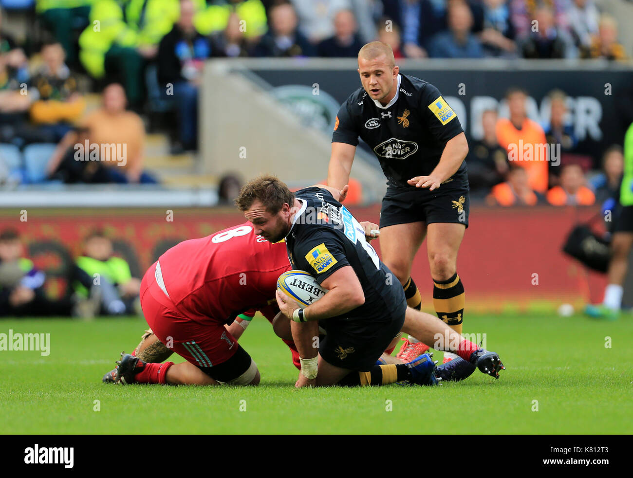 Rob miller wasps 2017 hi-res stock photography and images - Alamy