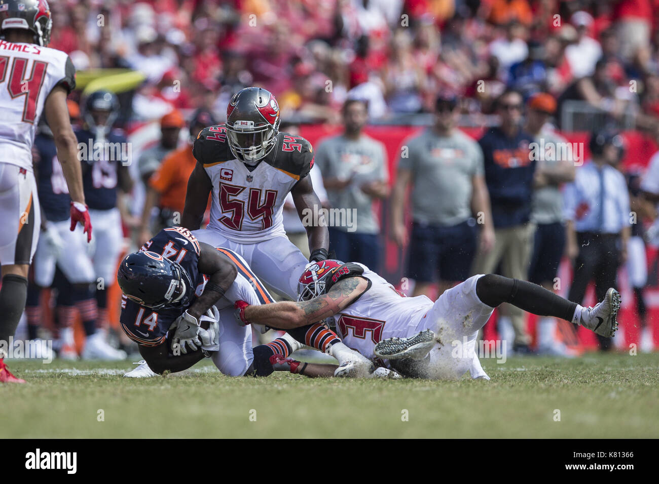James conte hi-res stock photography and images - Alamy
