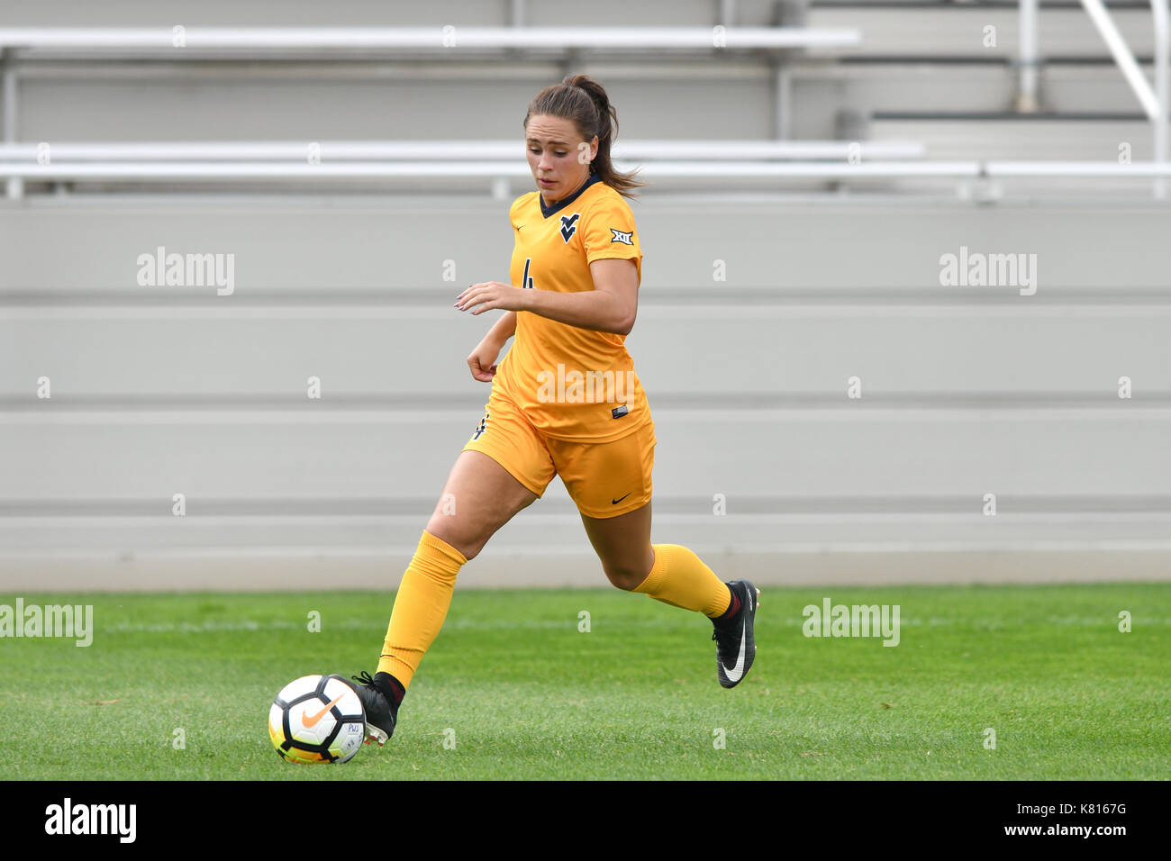 Virginia bianca hi-res stock photography and images - Alamy