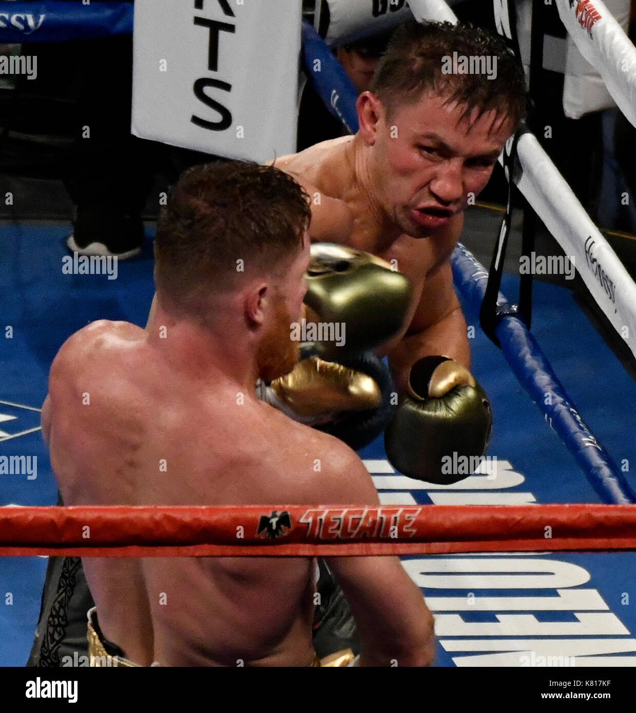 Las Vegas, NV, USA. 16th Sep, 2017. (In gray trunks) GGG goes 12 rounds ...