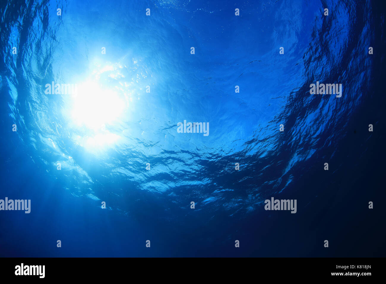 Water surface and sunlight underwater in the ocean Stock Photo - Alamy
