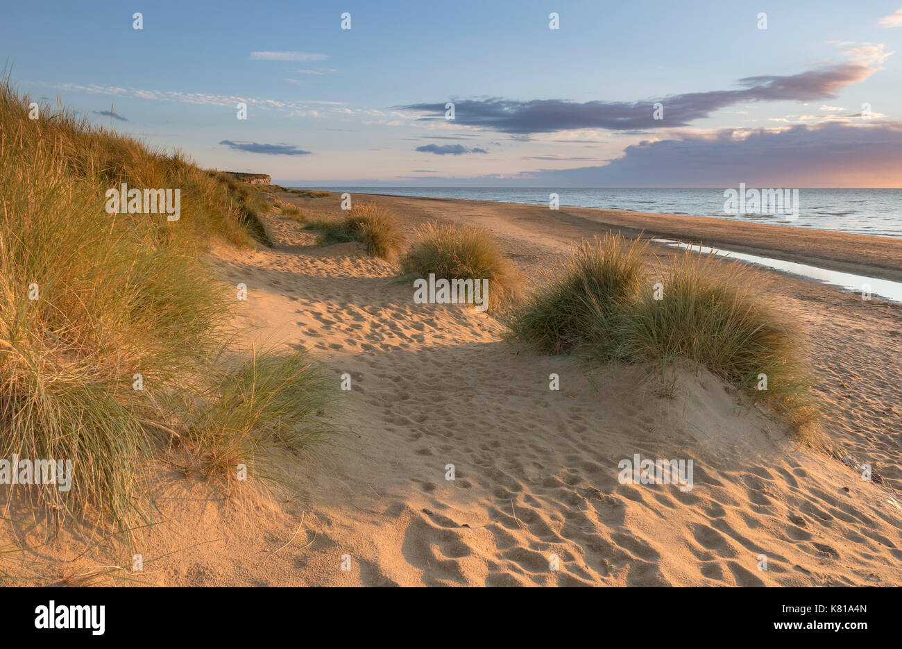 Dunes on Hunstanton beach at sunset Stock Photo - Alamy