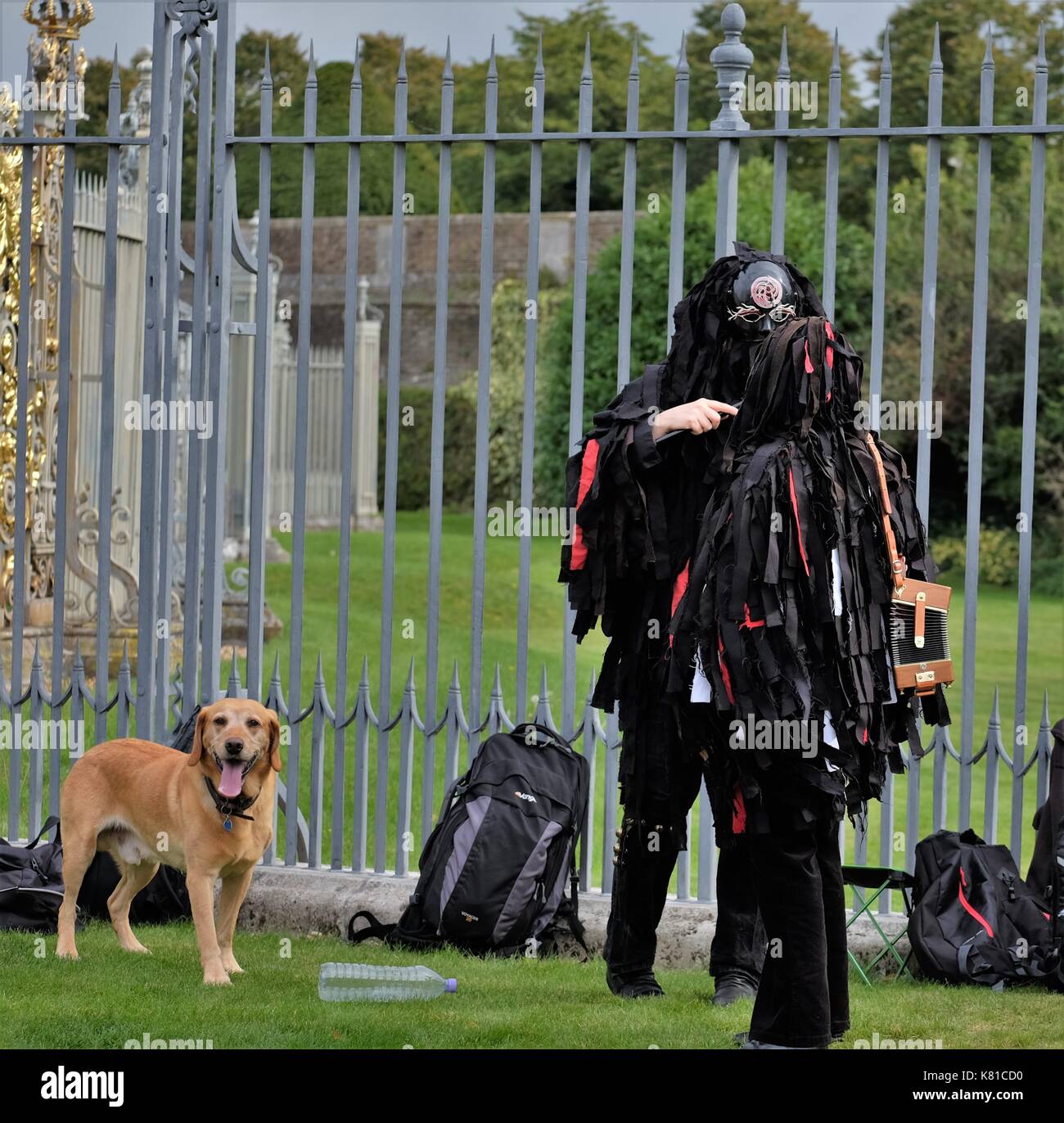 Morris dancer and dog hi-res stock photography and images - Alamy