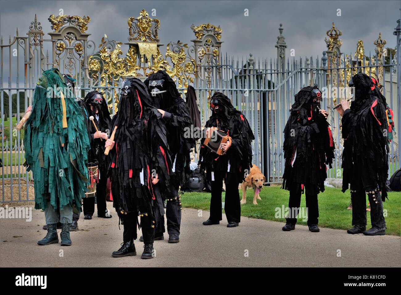 morris dancer and instrument Stock Photo - Alamy