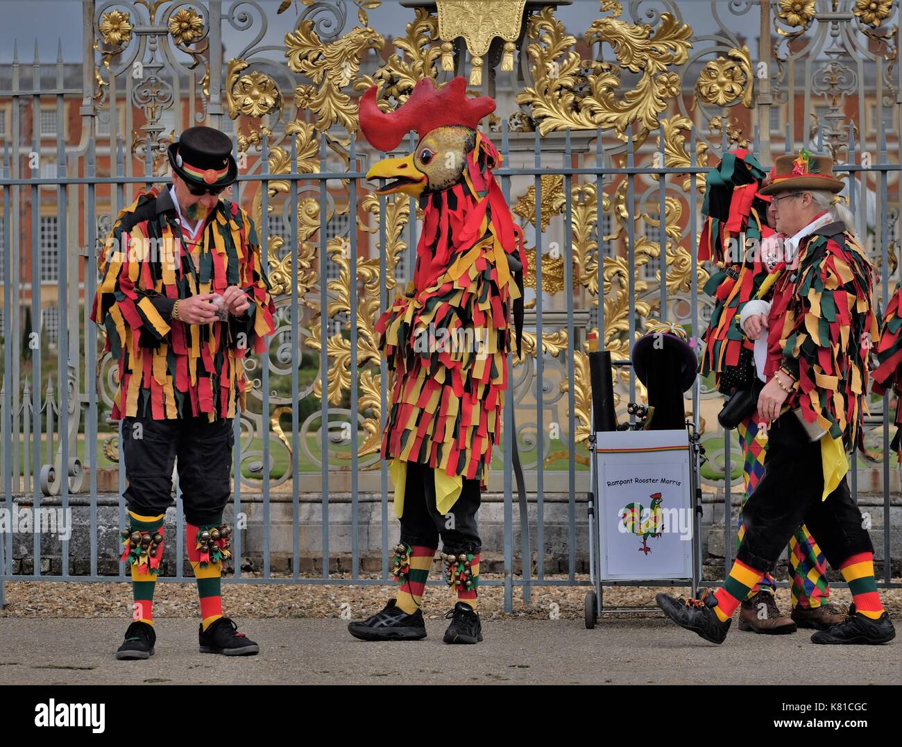 morris dancer and instrument Stock Photo - Alamy
