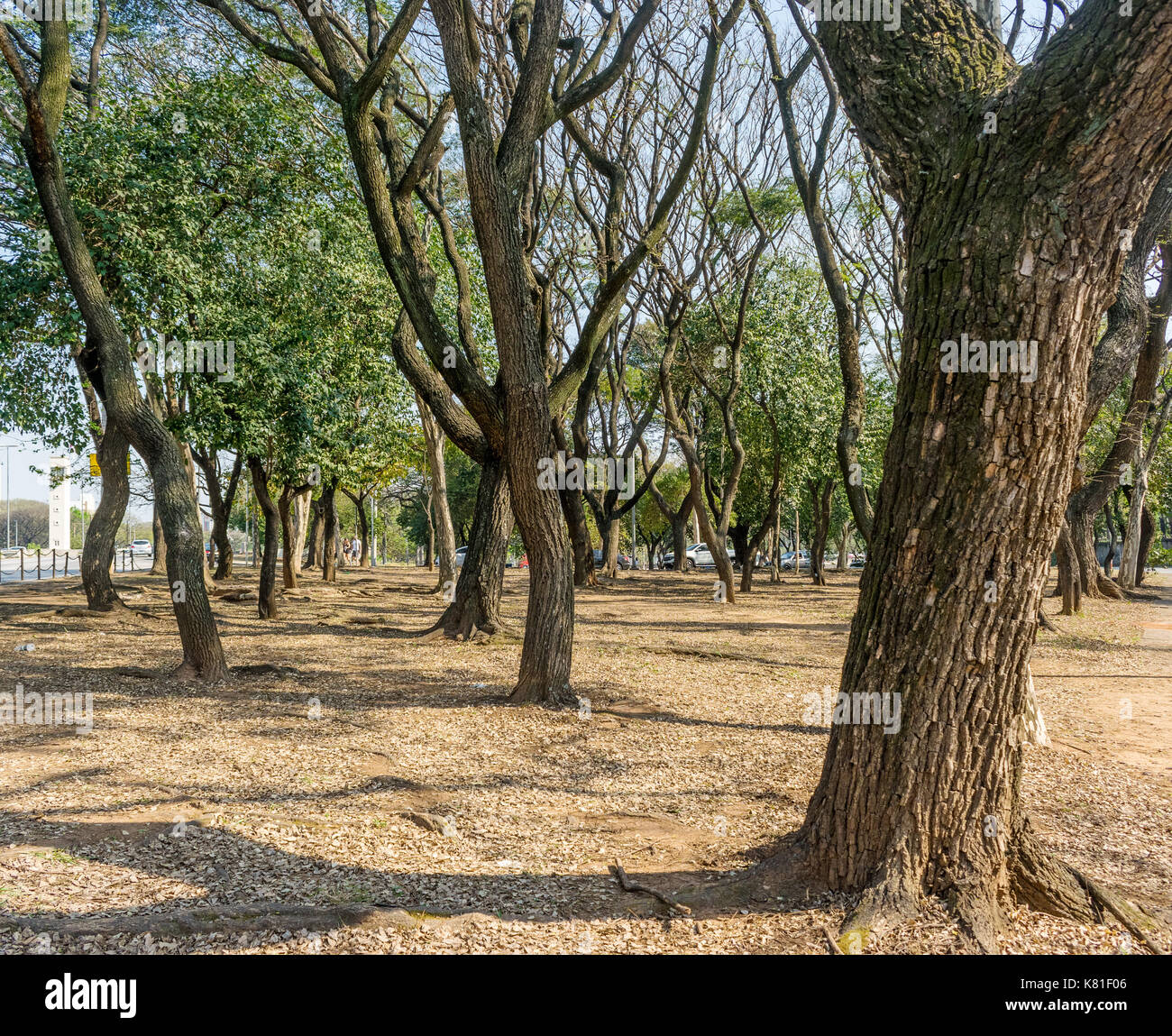 Plaza sao paulo hi-res stock photography and images - Alamy