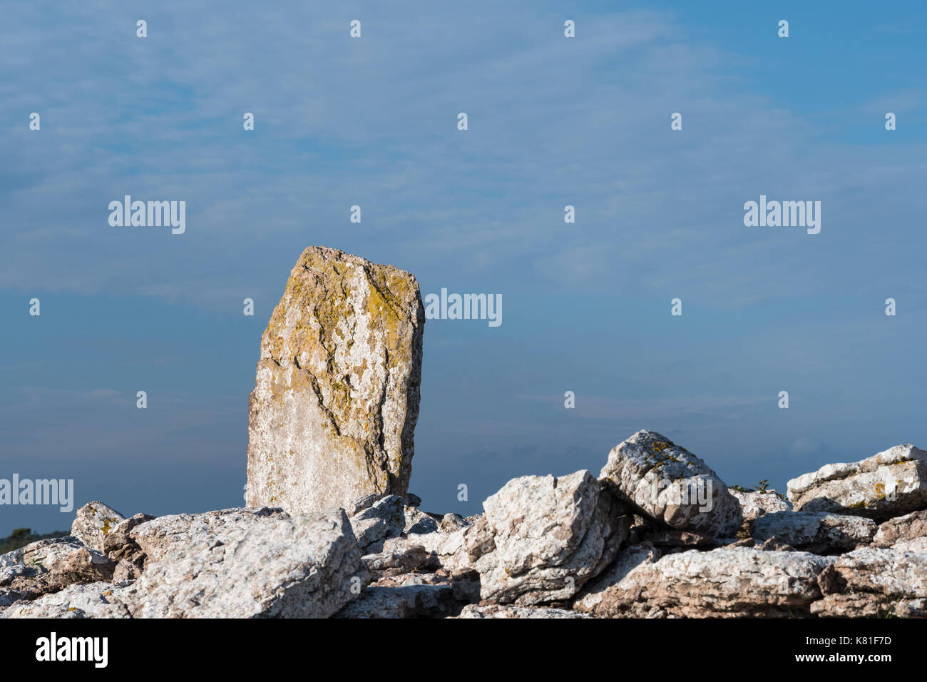 Ancient standing stone monument at the swedish island Oland Stock Photo ...