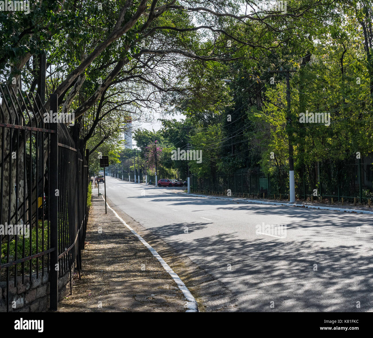 Palm trees shadows on pavement hi-res stock photography and images - Alamy