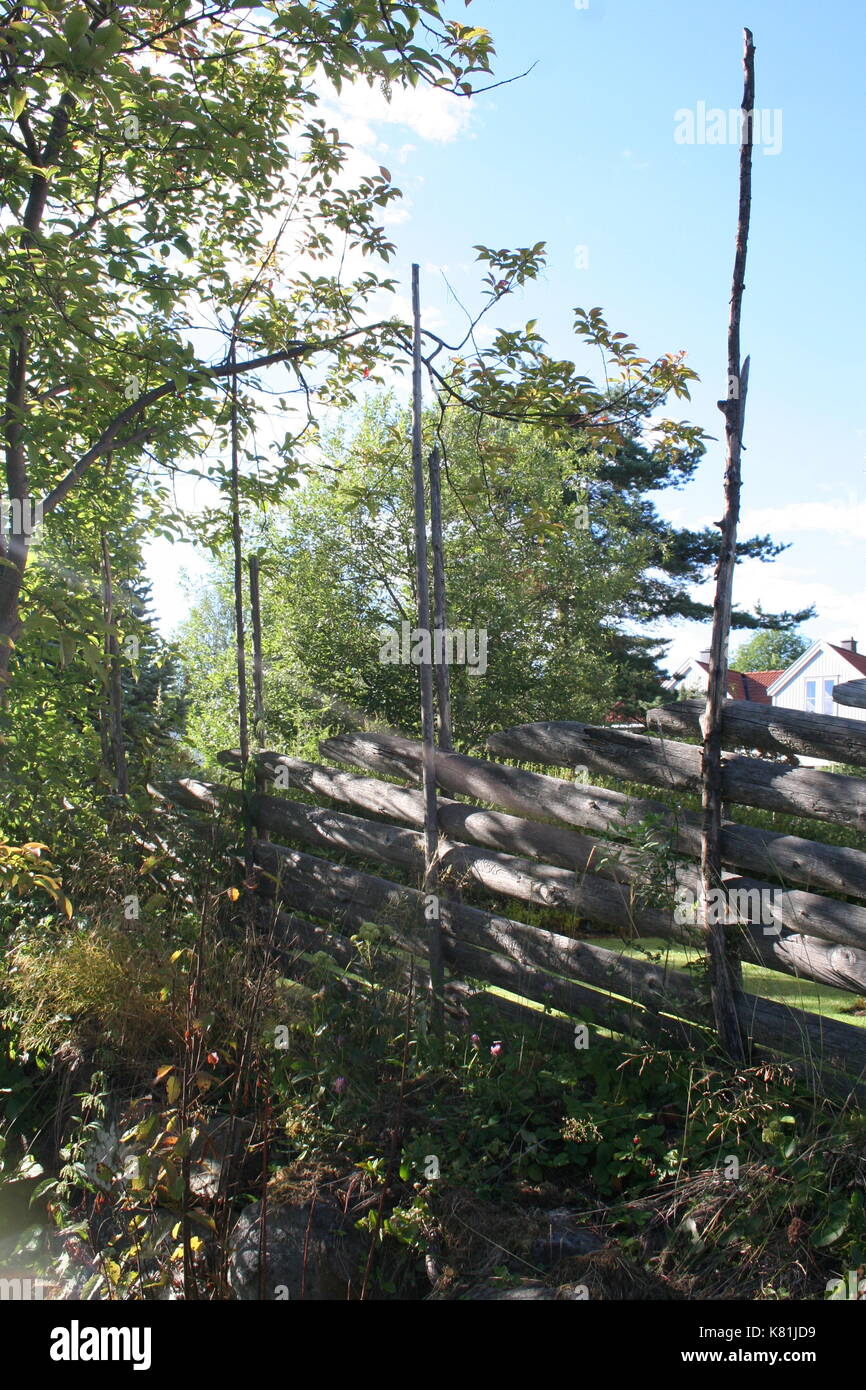 Skigard, a traditional Norwegian fence made from a dense coverage of ...