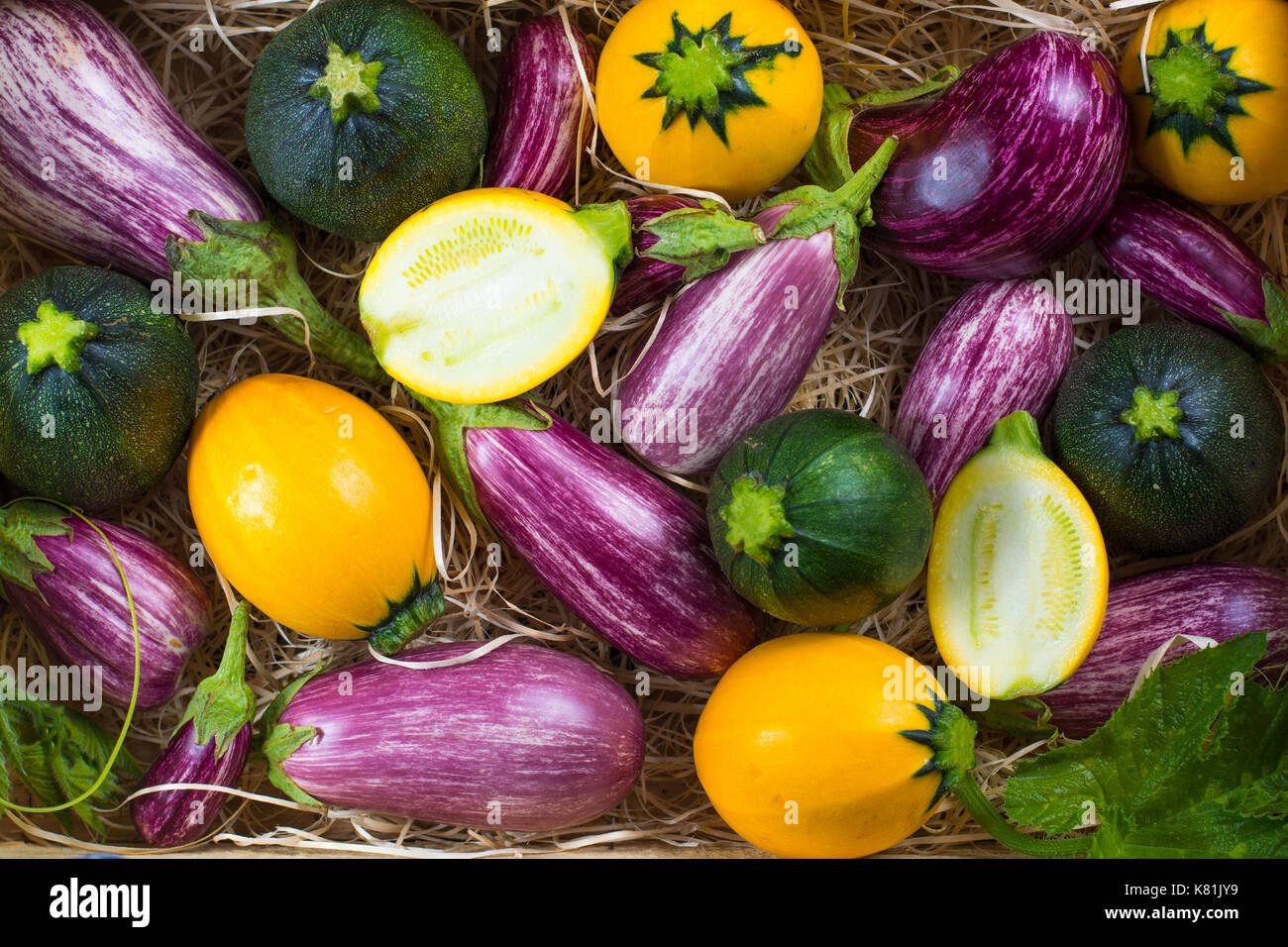 Fresh colorful organic vegetables background or wallpaper - round ...