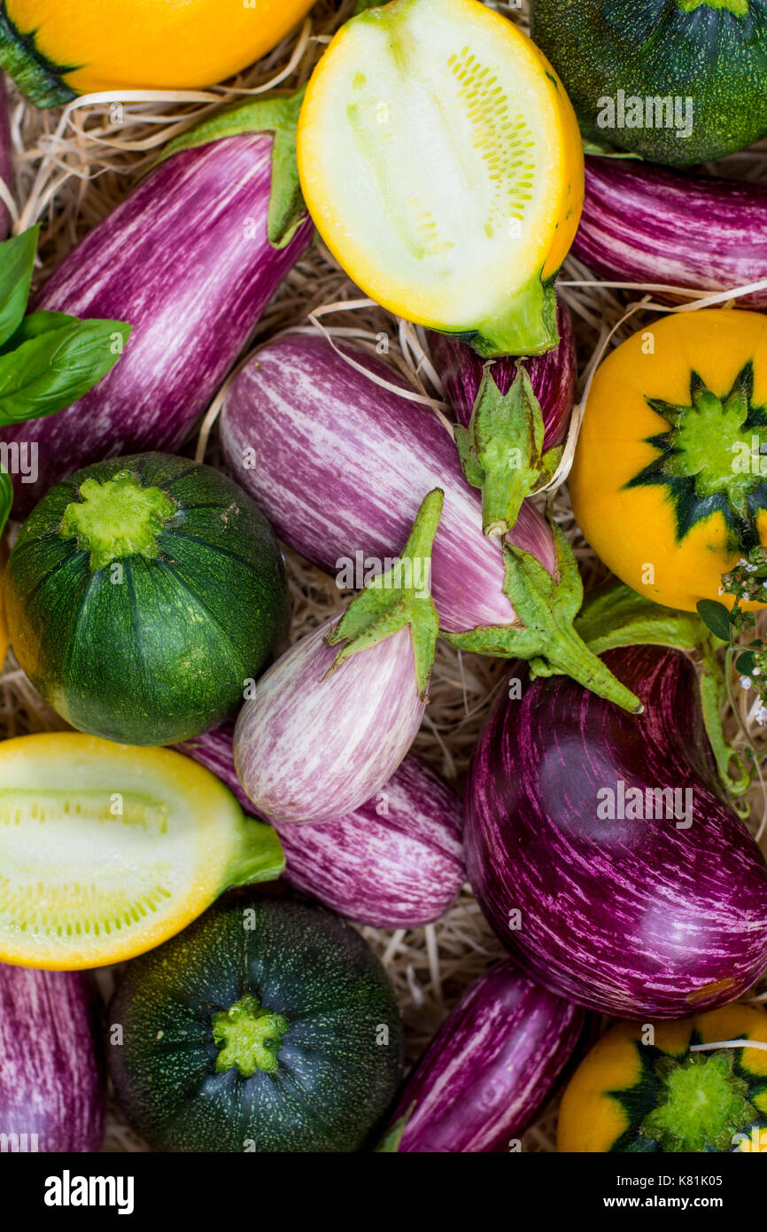 Fresh colorful organic vegetables background or wallpaper - round ...