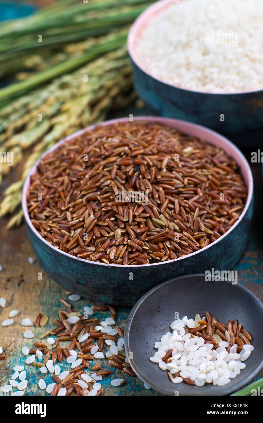 Green rice ears from Camargue Provence, France rice fields and valiety ...