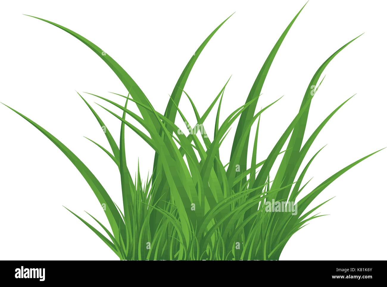 Green grass isolated vector symbol icon design. Beautiful illustration ...