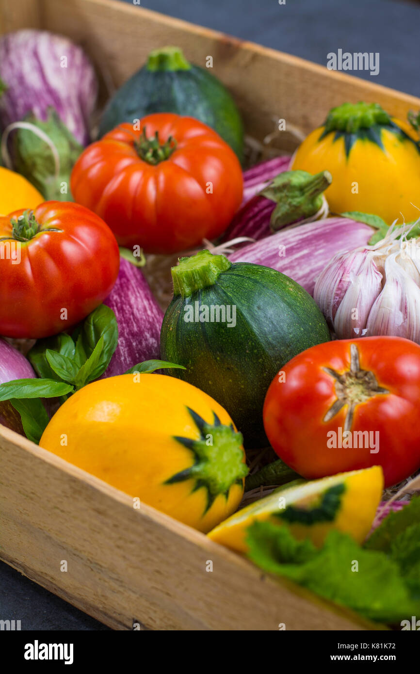 Fresh colorful organic vegetables - round courgette, small eggplants ...