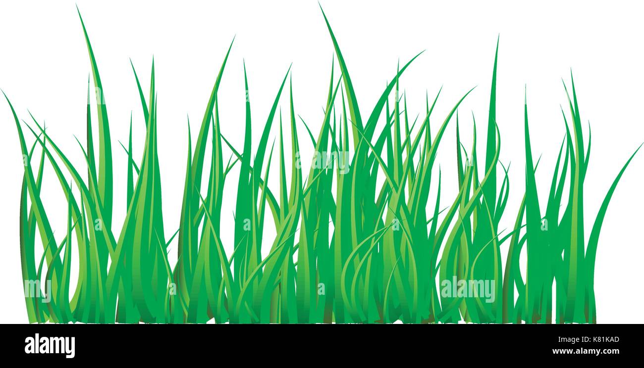 Green grass isolated vector symbol icon design. Beautiful illustration ...