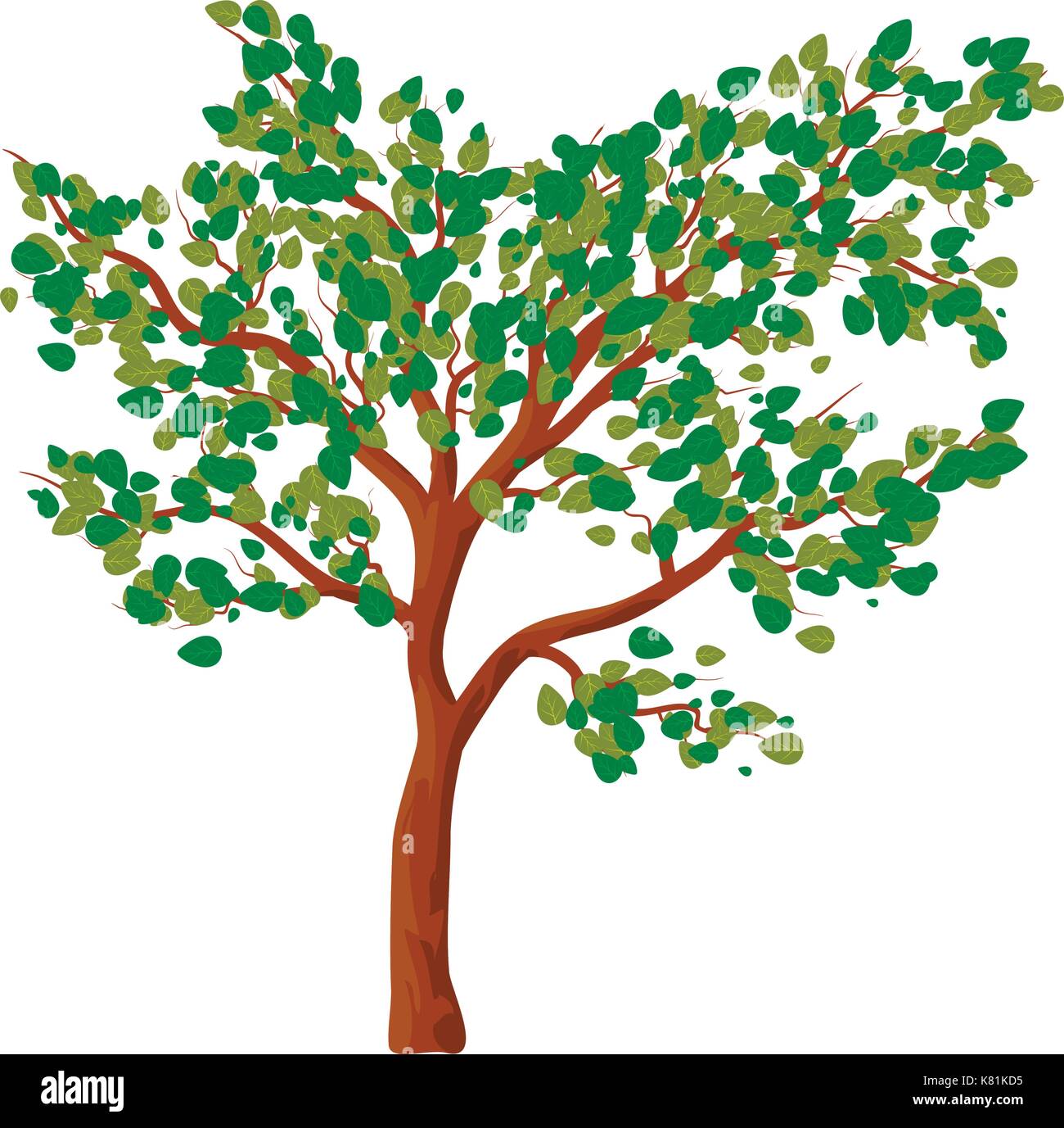 Green tree isolated vector symbol icon design. Beautiful illustration ...