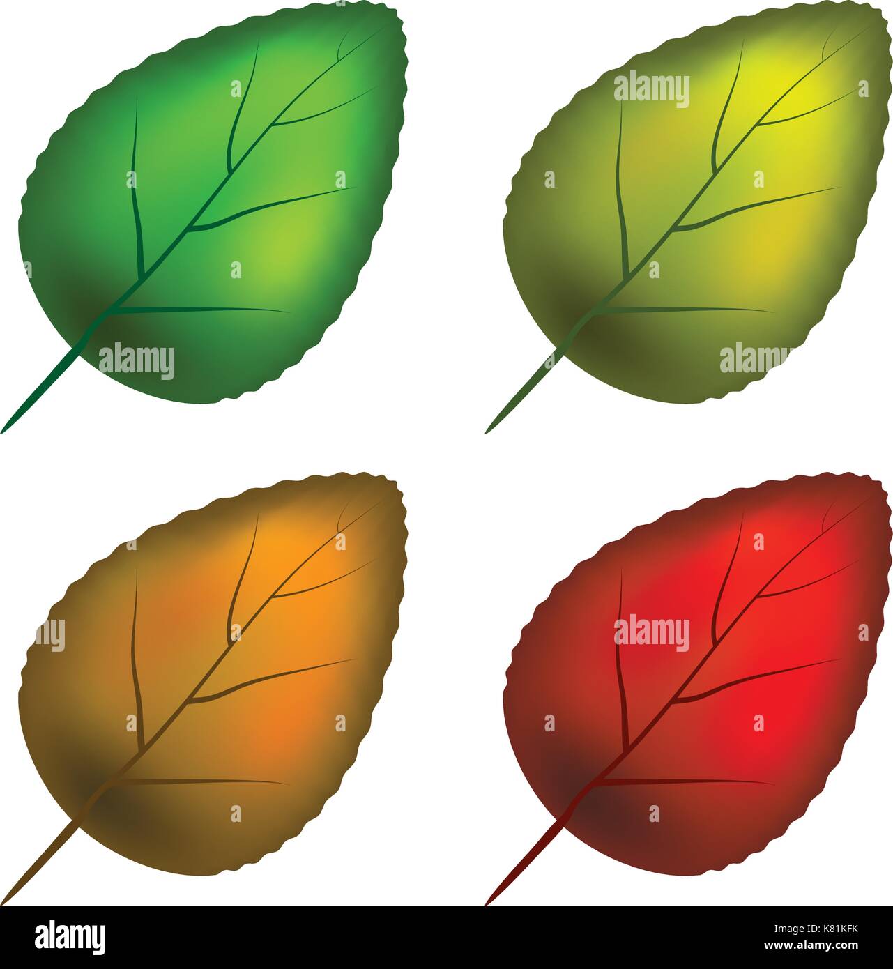 leaf set vector symbol icon design. Beautiful illustration isolated on ...