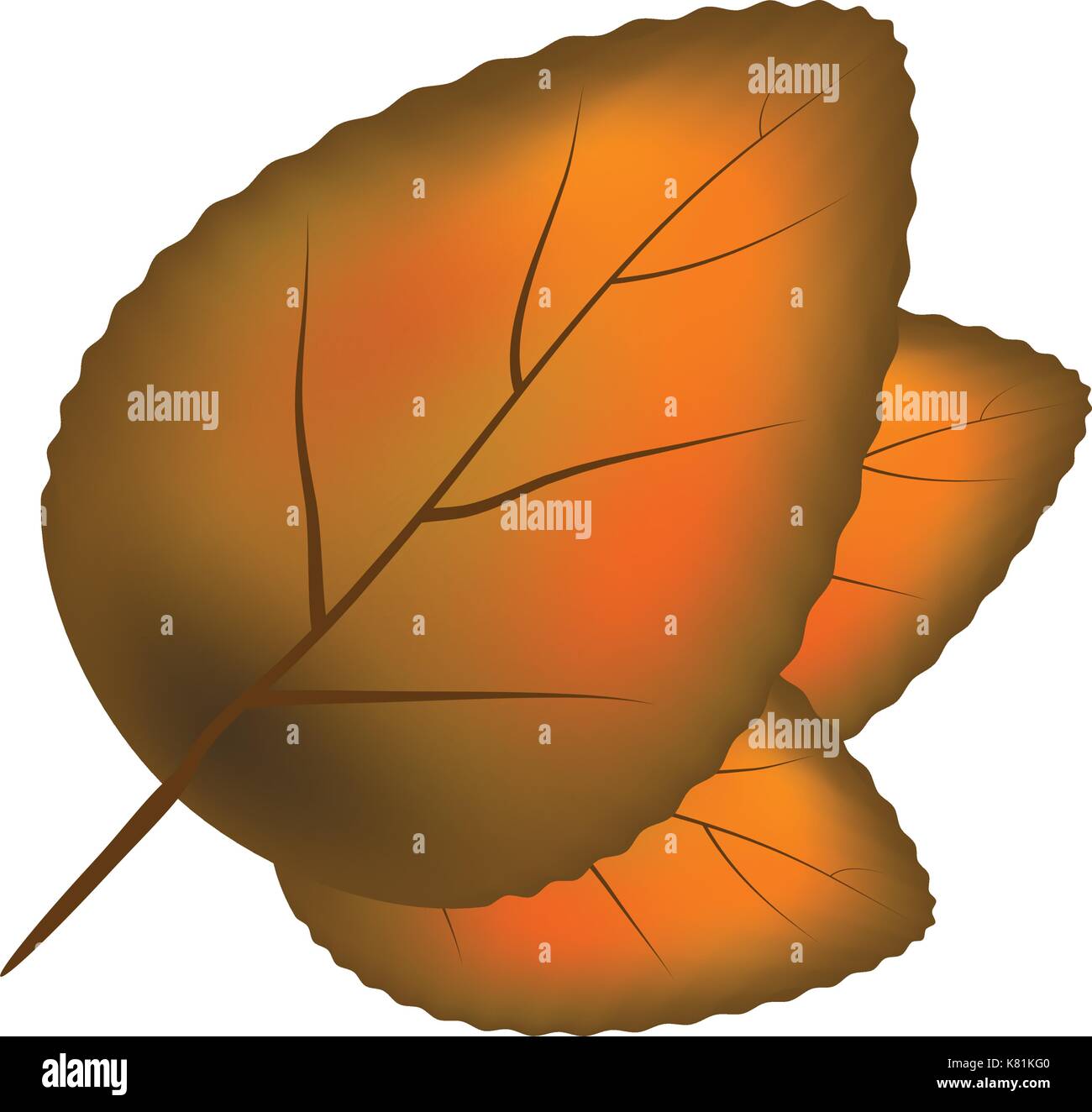orange leaf vector symbol icon design. Beautiful illustration isolated ...