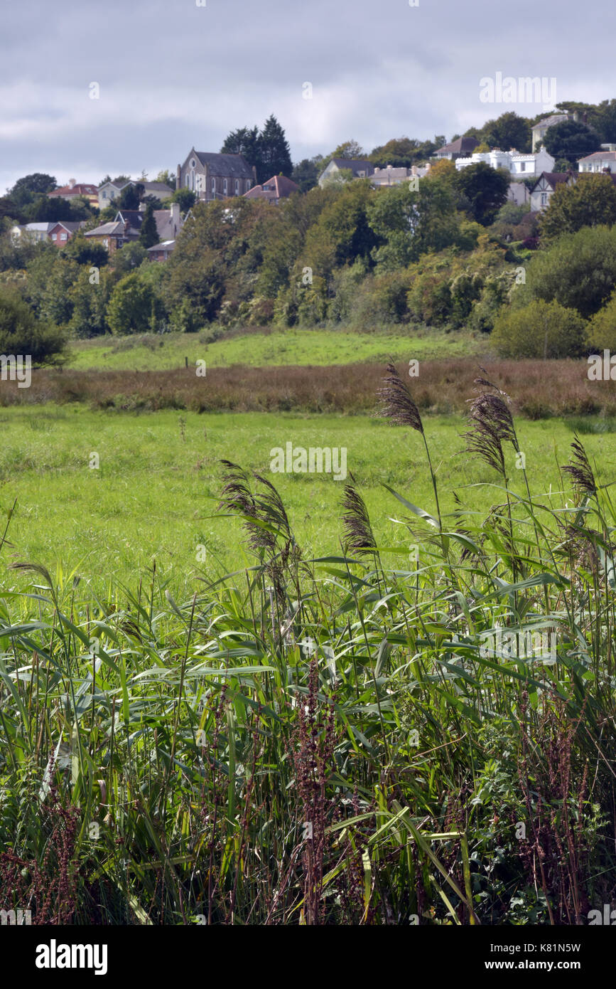 Brading marshes hi-res stock photography and images - Alamy