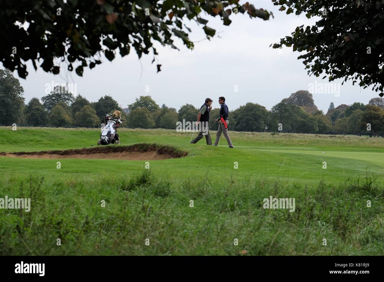 golfer on course Stock Photo - Alamy