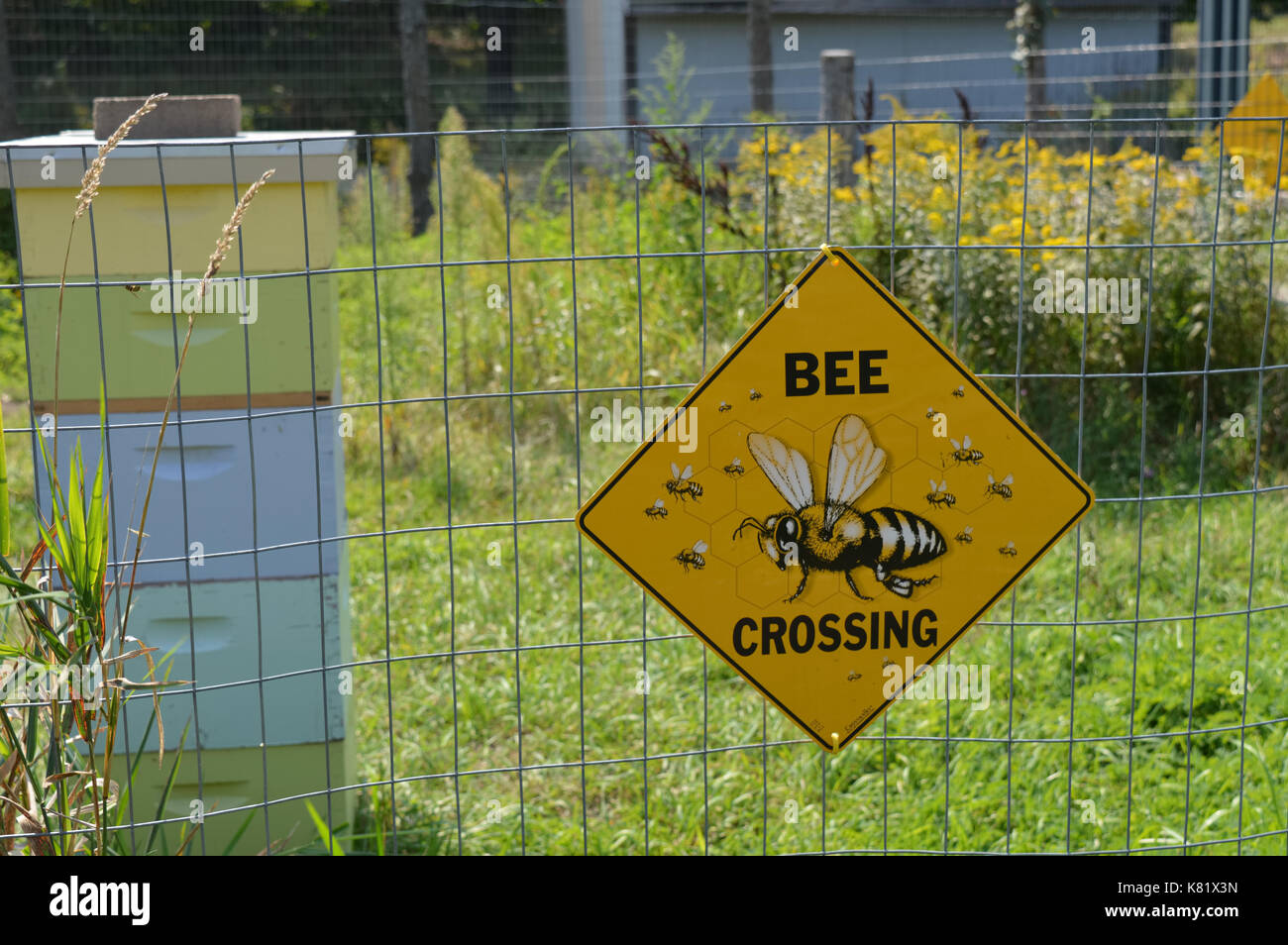 Bee Keeping Area Stock Photo - Alamy