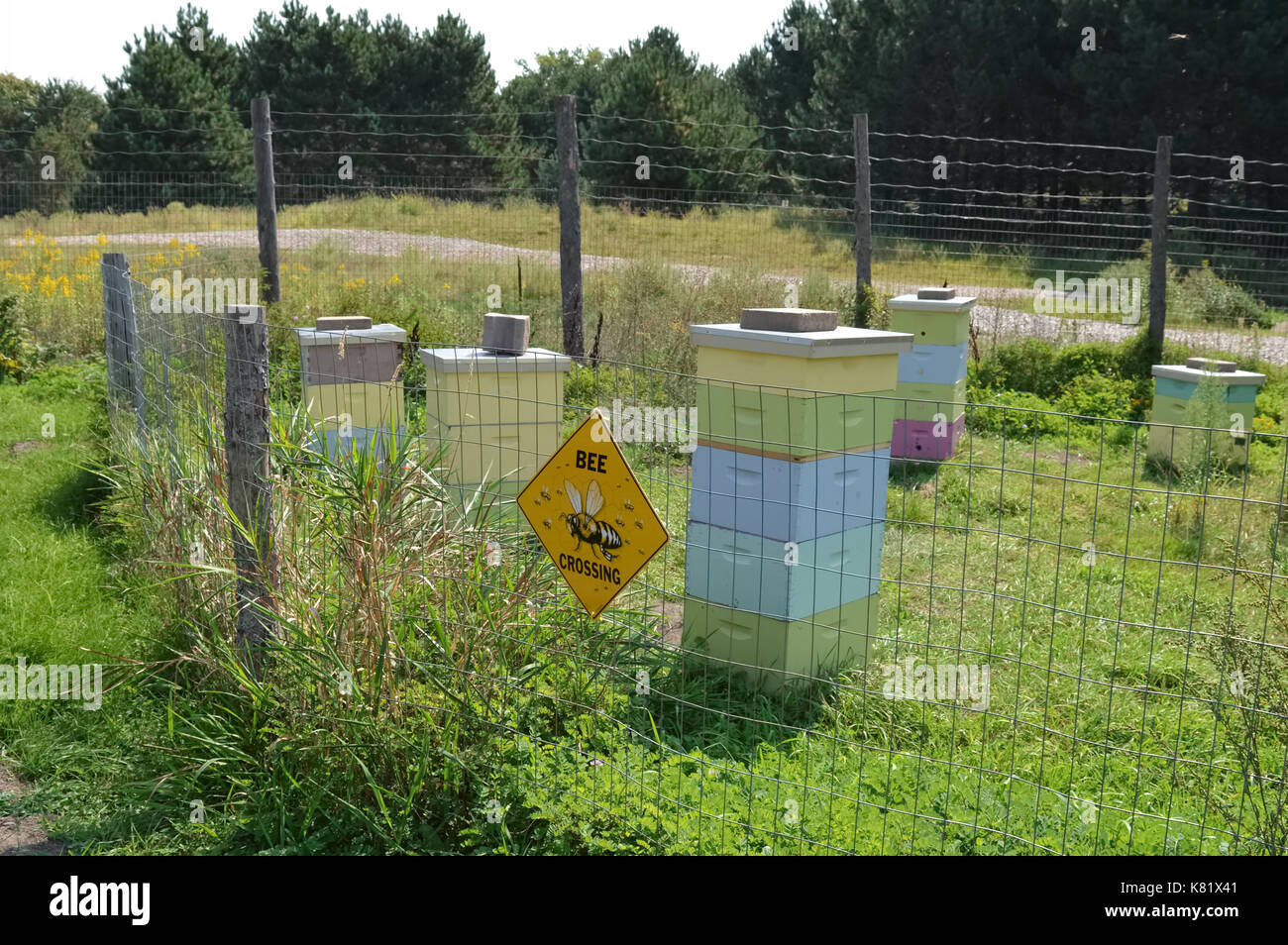 Bee Keeping Area Stock Photo - Alamy