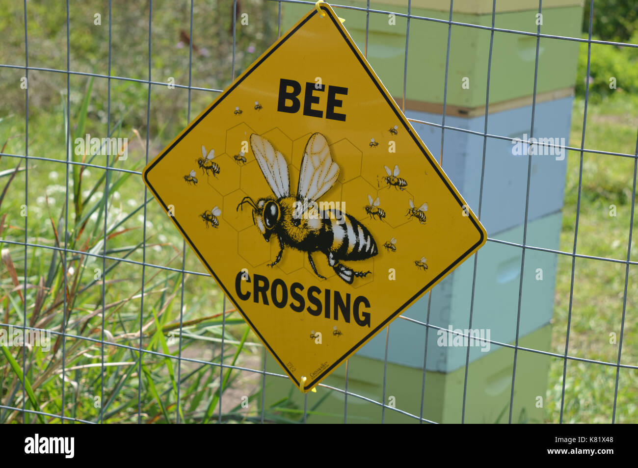 Bee Keeping Area Stock Photo - Alamy