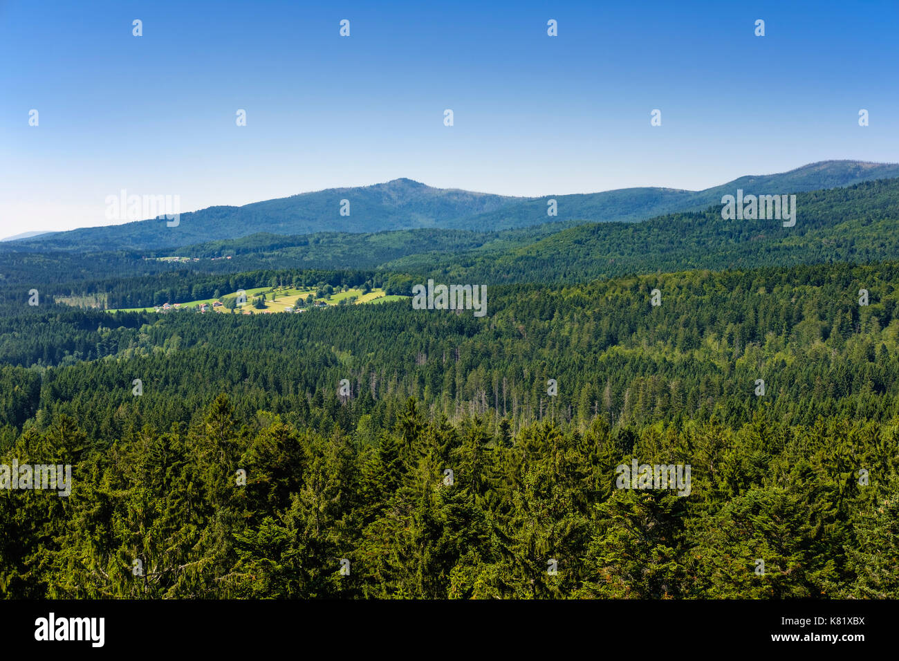 German forest path hi-res stock photography and images - Alamy