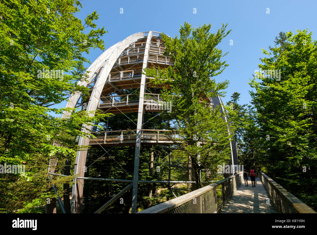 Tree tower, tree top path Bavarian Forest, Neuschönau, Bavarian Forest ...